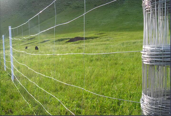 Hinged Joint Fence – KANG FENCING